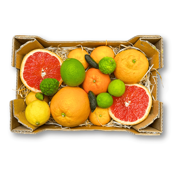 Buy an Exotic Citrus Selection Box Online Now 4 Sizes Available - UK ...