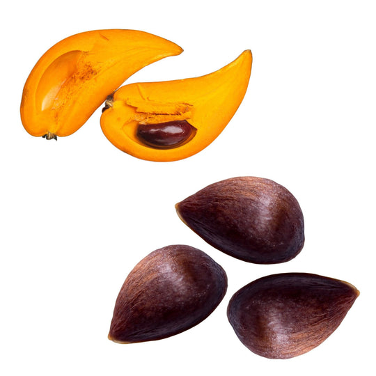 Seeds – Exotic Fruits