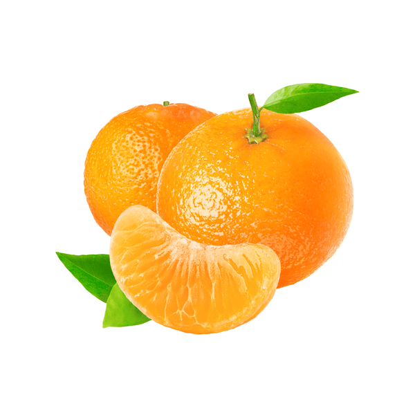 Buy fresh Nova Mandarin For Sale Online Now - Exotic Fruit UK Delivery ...