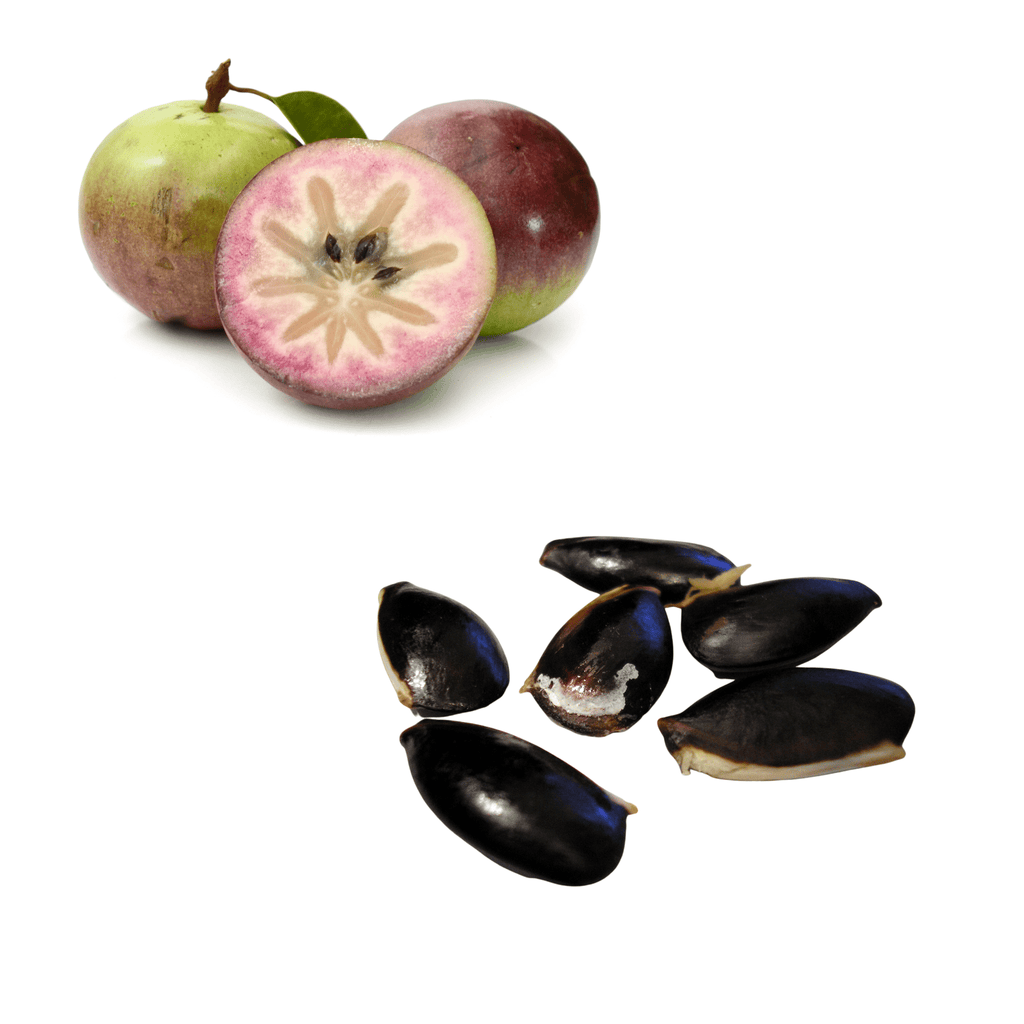 Buy Milk Fruit / Star Apple Seeds For Sale Online - Rare Exotic Fruit ...