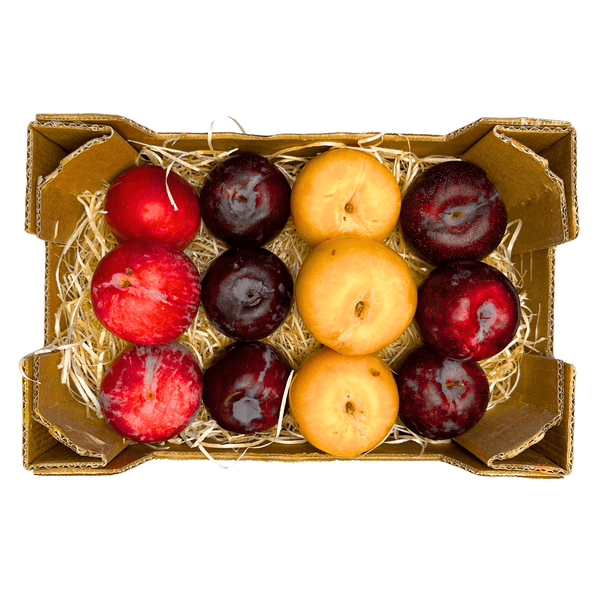 Buy a Plum Box Online Now 4 Sizes Available - UK Delivery – Exotic Fruits