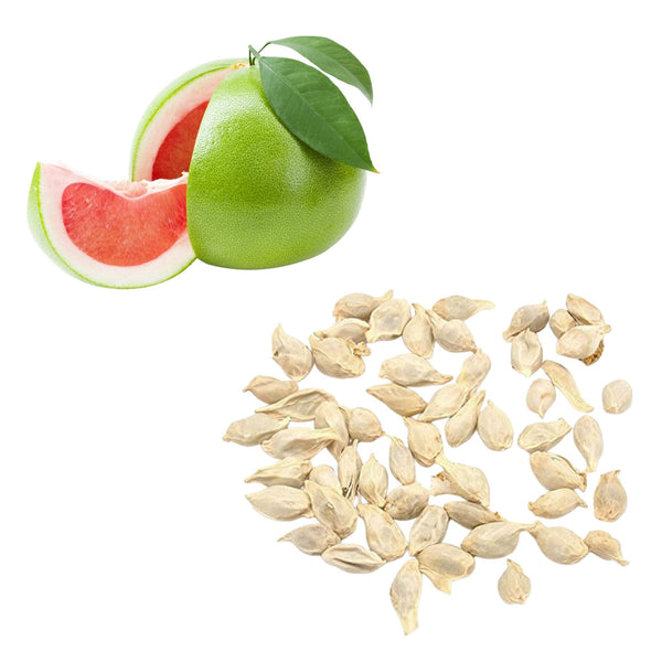 Buy Pink Pomelo Seeds For Sale Online - Rare Exotic Fruit UK – Exotic ...