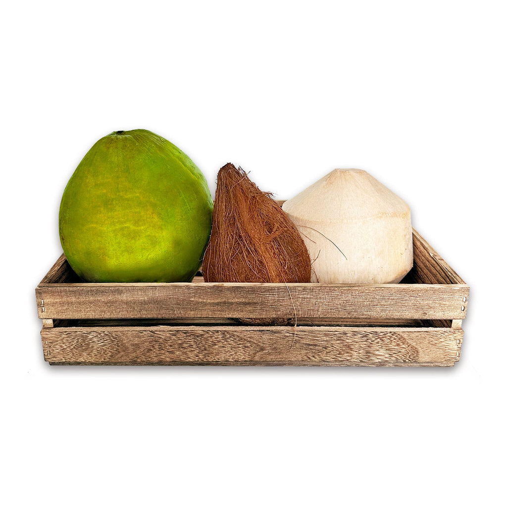 Buy Coconut Exotic Fruit Box Online - Young Shaved, Jelly Nut - UK ...