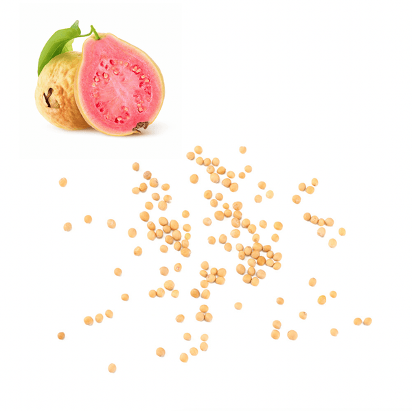 Guava - Pink Seeds – Exotic Fruits