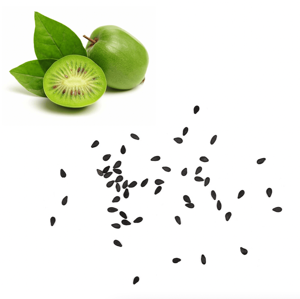 Kiwi - Berry Seeds – Exotic Fruits