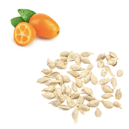 Seeds – Exotic Fruits
