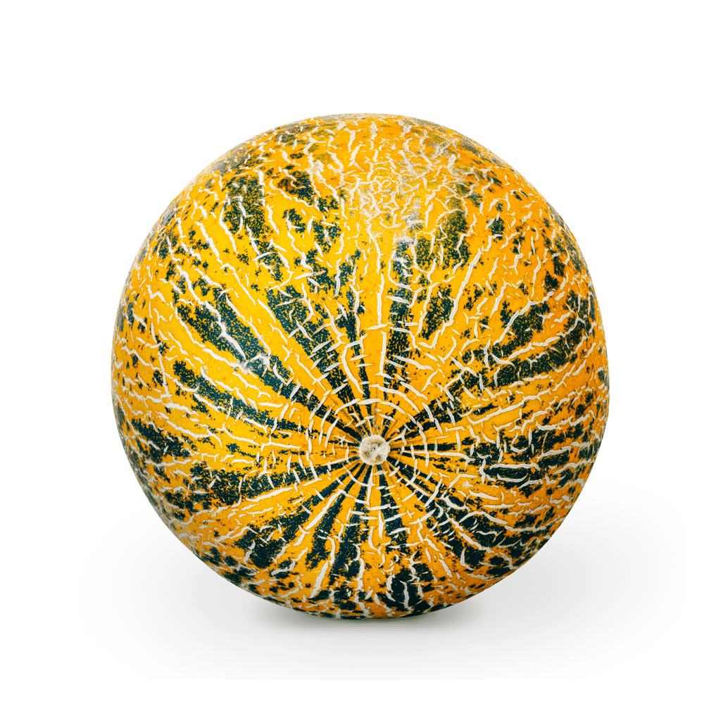 Buy Kirkagac Melon Online Now - Rare Exotic Fruit, UK Delivery – Exotic ...