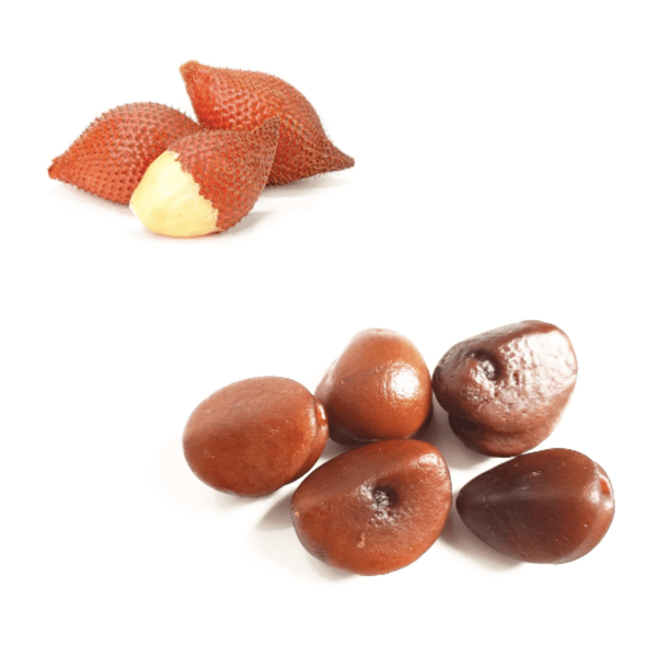 Buy Snake Fruit (Salak Bali) Seeds For Sale Online - Rare Exotic Fruit ...
